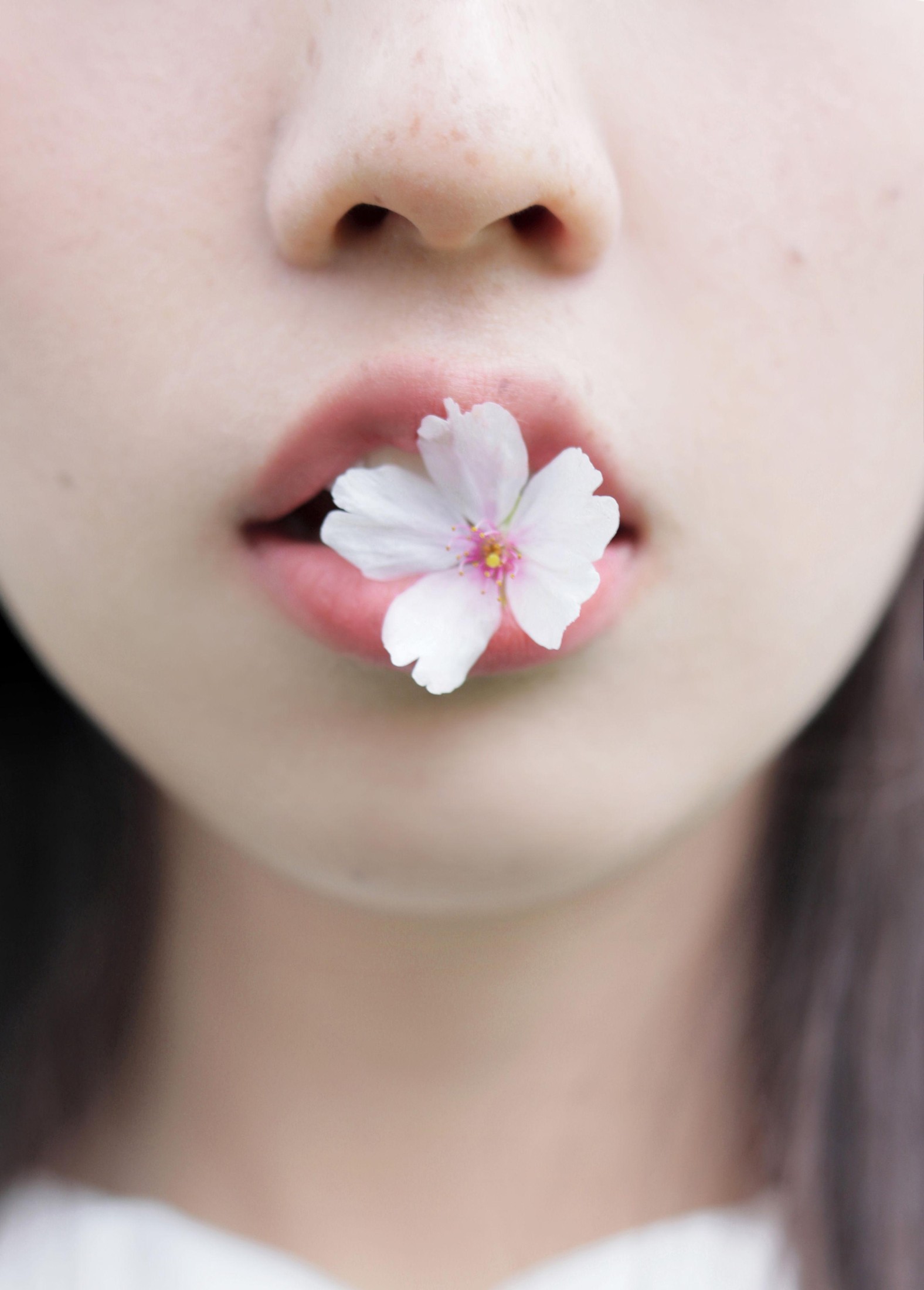 – 《春日礼赞》[35P] - Goou-写真